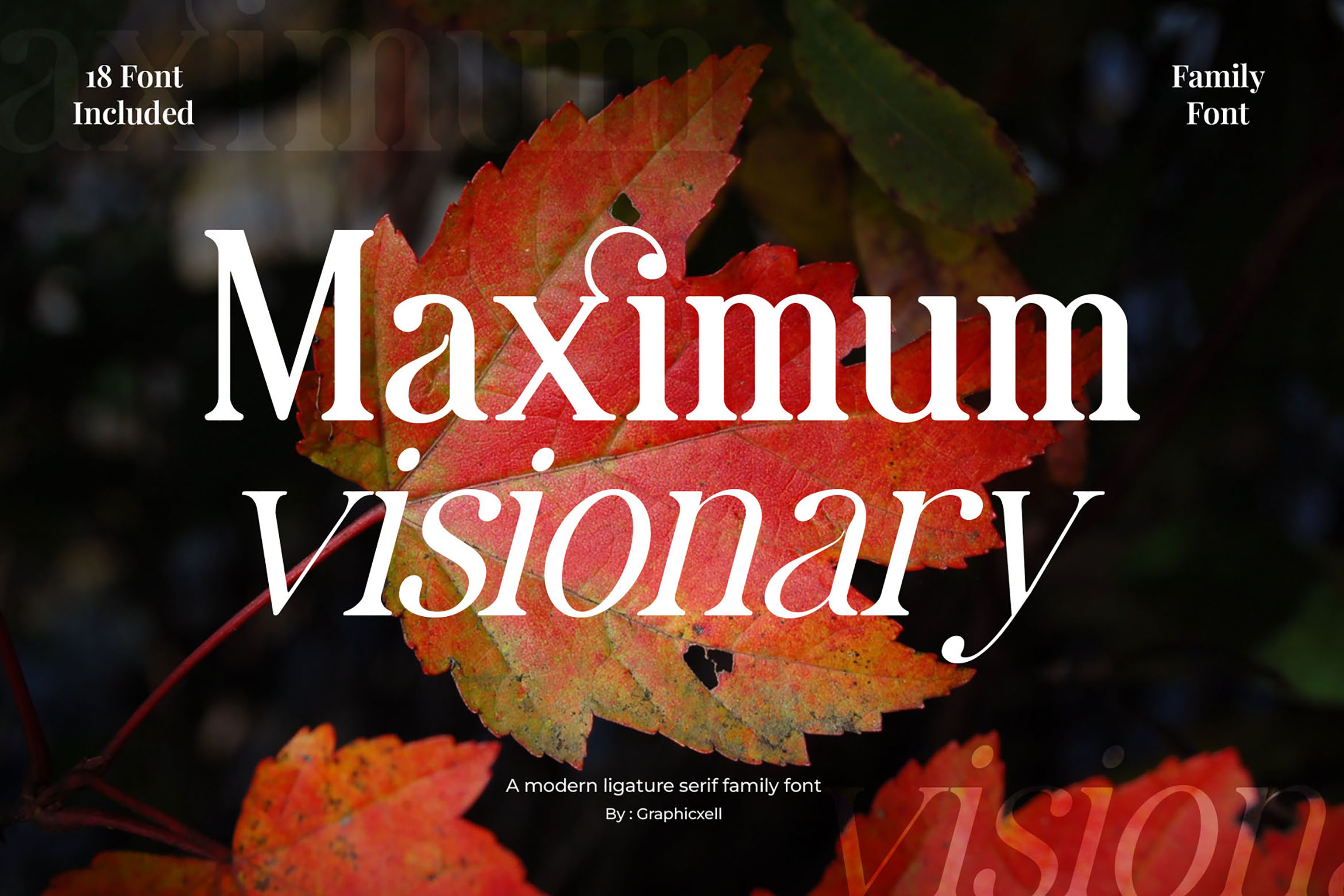 Maximum Visionary Family Font by Graphicxell