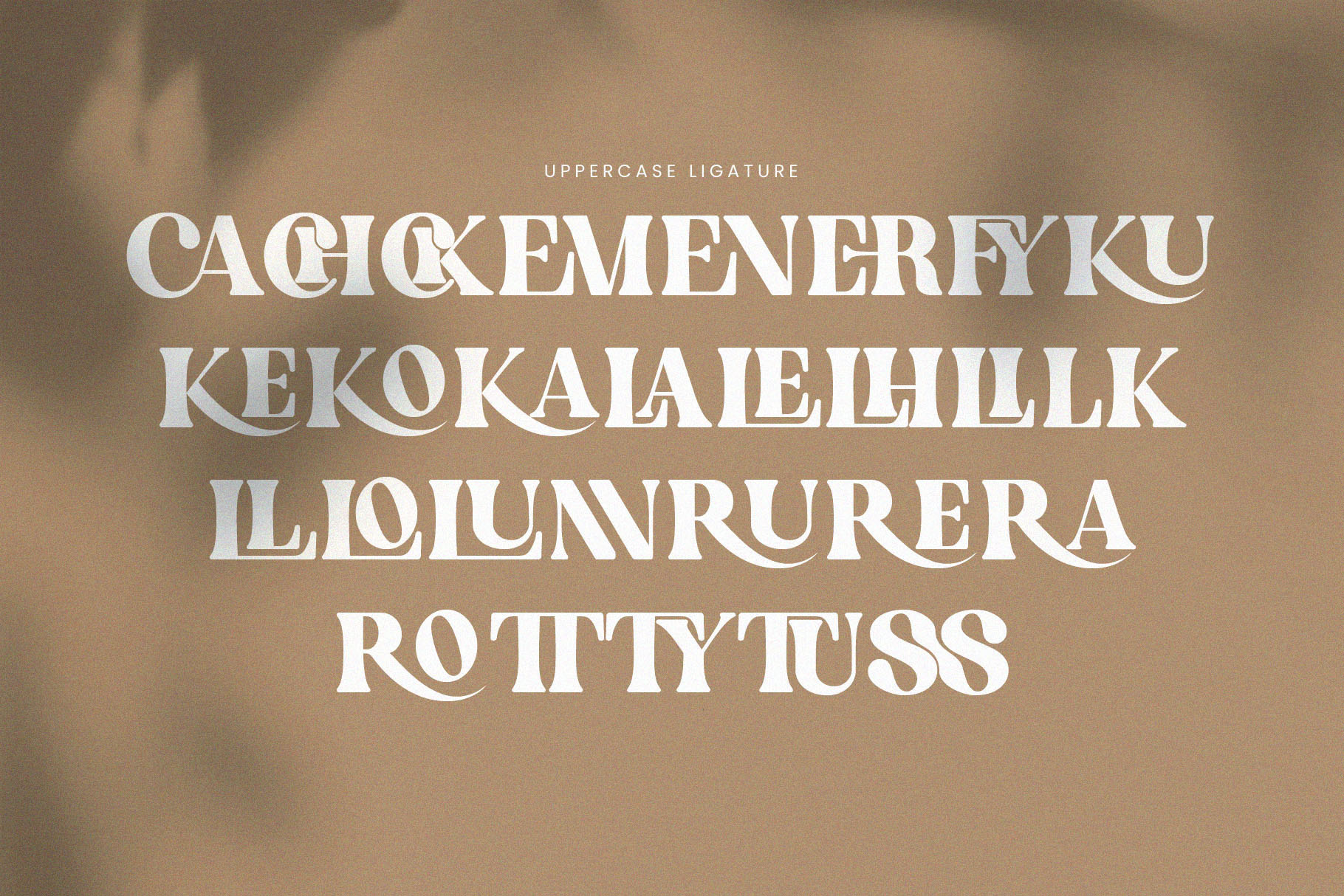English Island Serif Font by Graphicxell