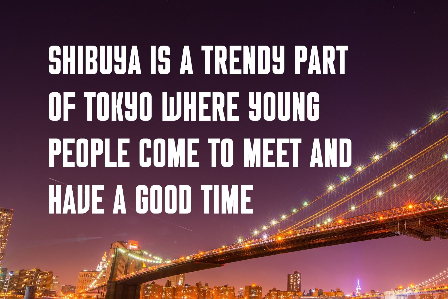 Tokyo Sans Serif Font by Graphicxell