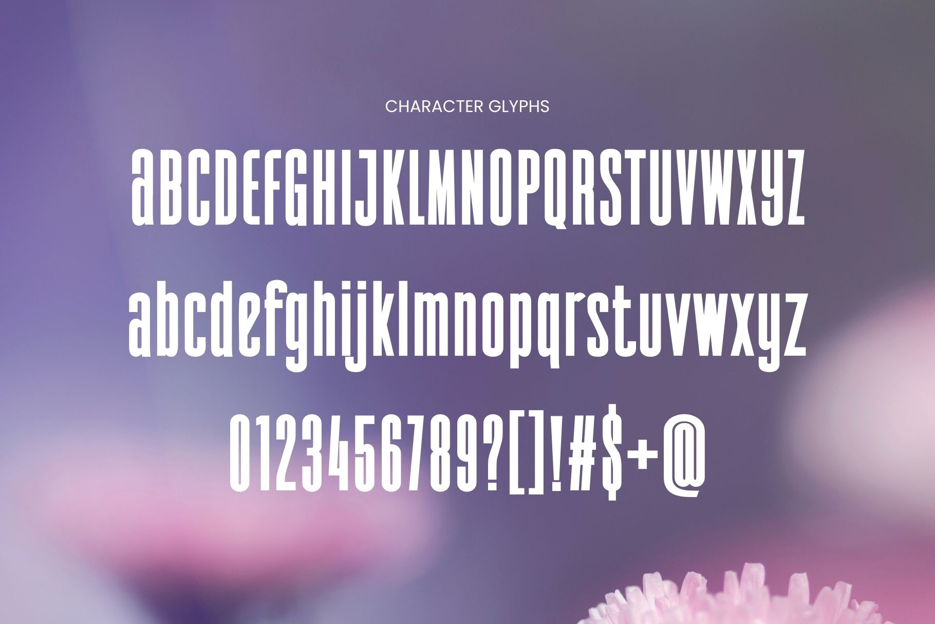 Types Sans Serif Font by Graphicxell