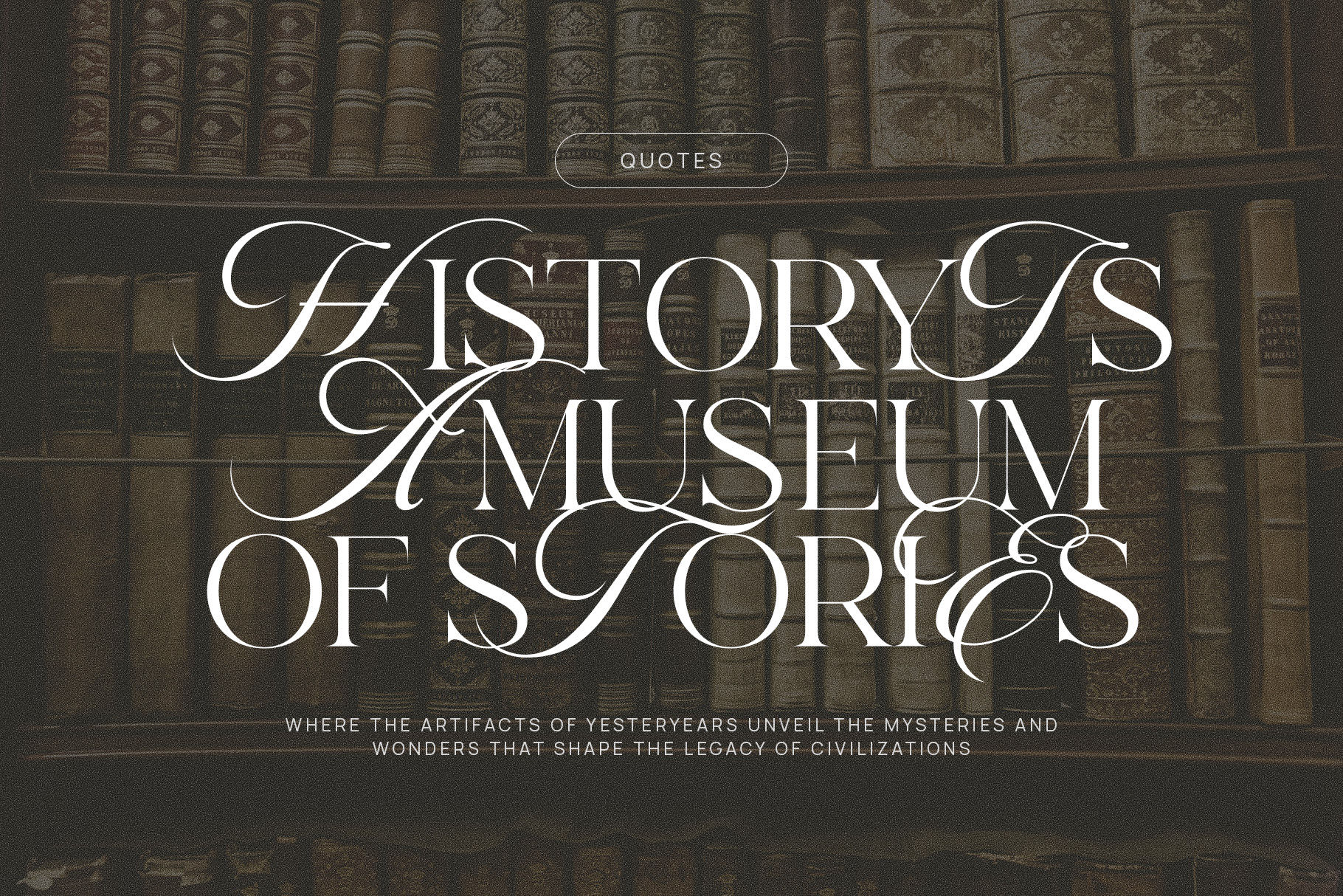Times Stories Serif Font by Graphicxell