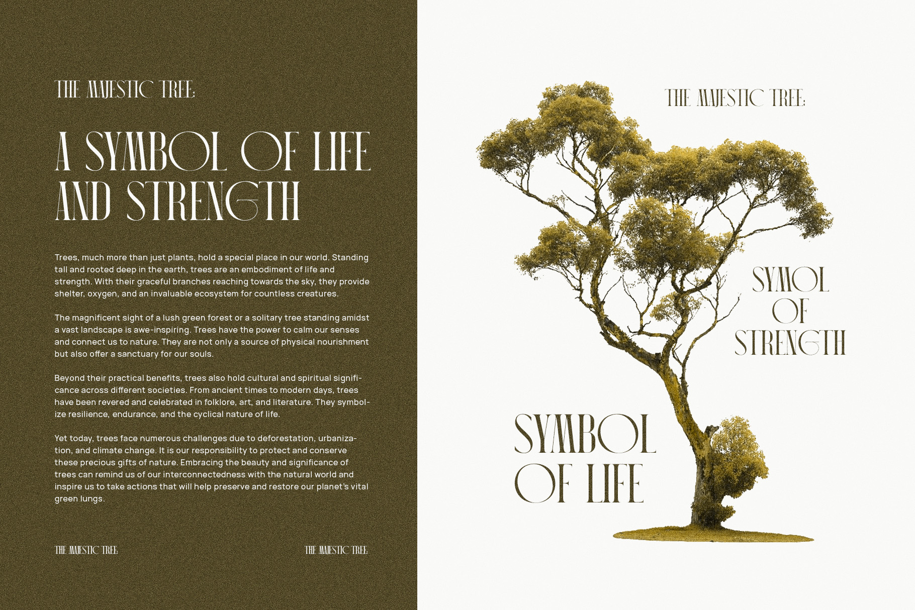 Guniper Serif Font by Graphicxell