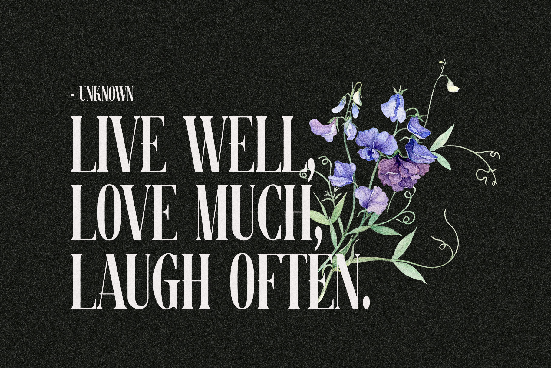 Malken Serif Font by Graphicxell