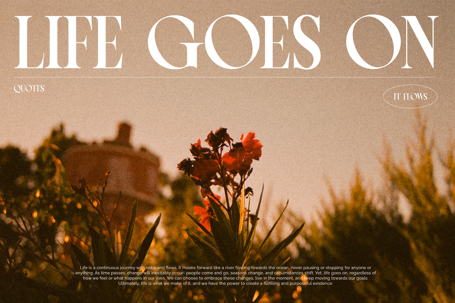 Ziporah Serif Font by Graphicxell