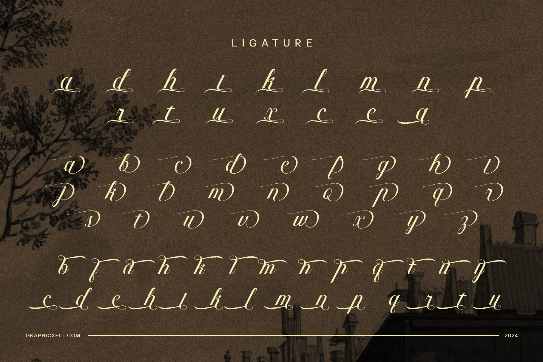 Mothan Wedding Script Font - By Graphicxell