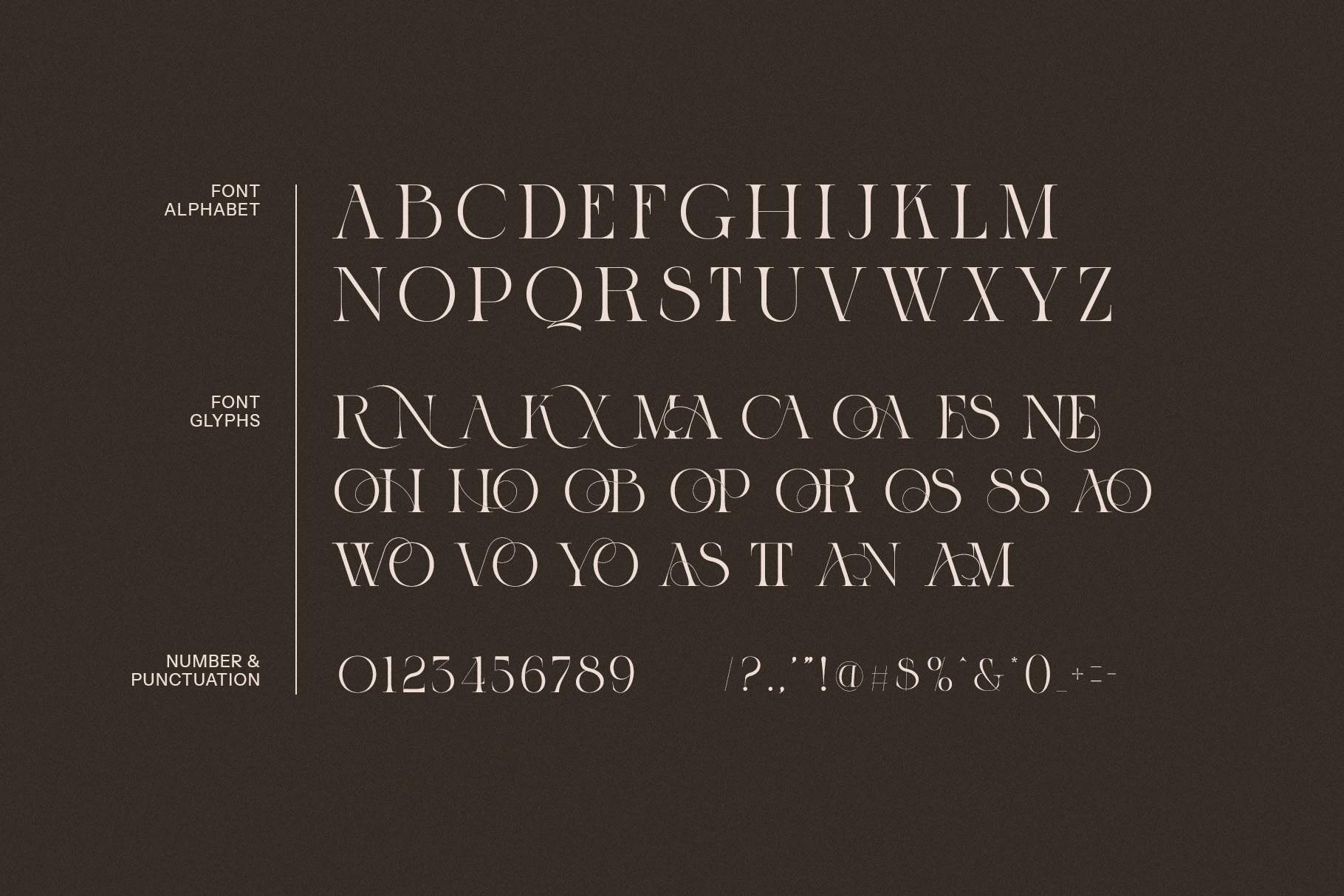 Ranesa Renos Serif Font - By Graphicxell