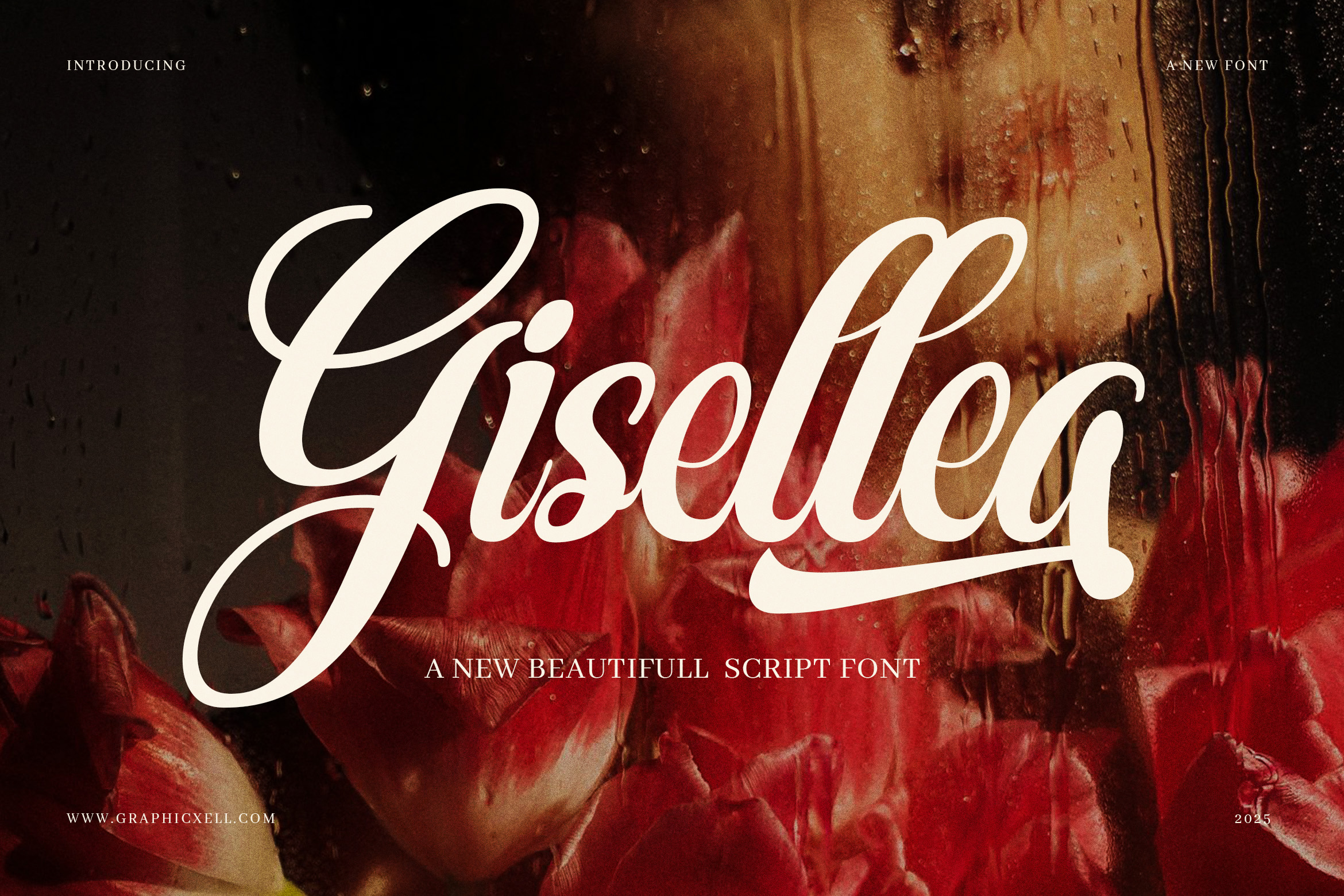 Gisellea Elegant Script Font By Graphicxell